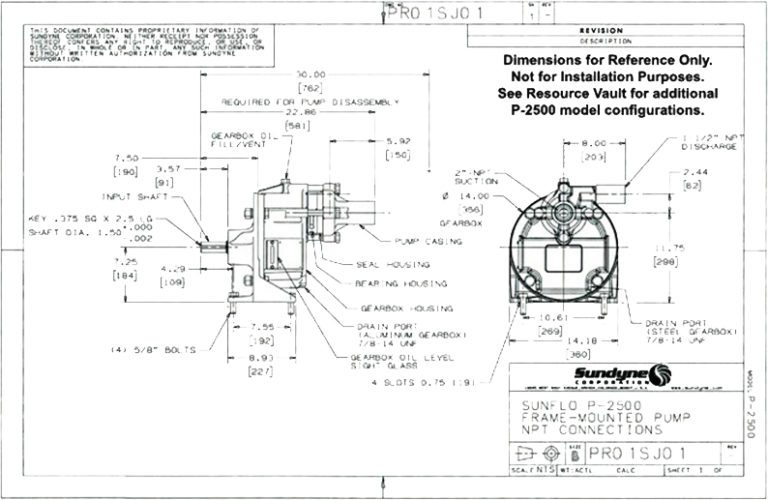 Sunflo P 3000 Industrial Grade Pump | Sundyne