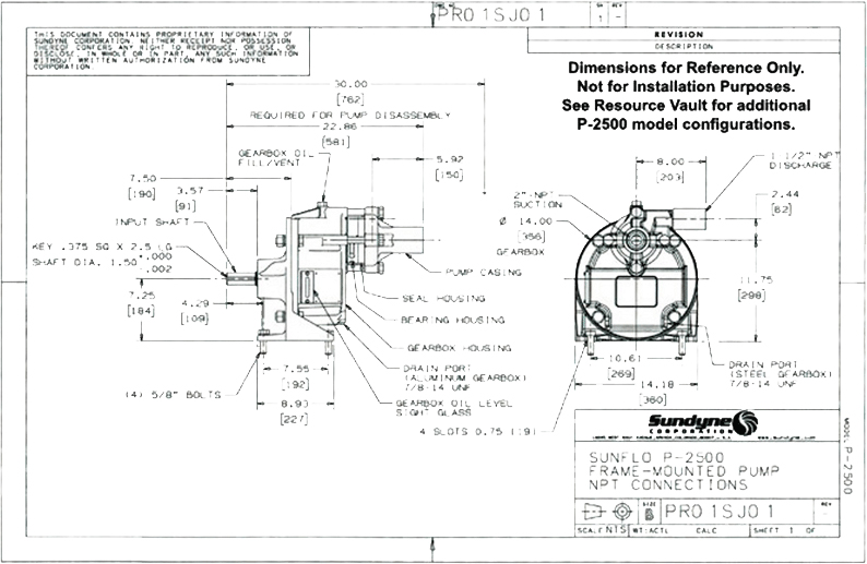 Sunflo P 3000 Industrial Grade Pump | Sundyne